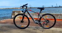 Lectro C8 Bicycle Picture Gallery - Bikes4Sale