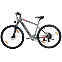 Lectro C8 Bicycle Picture Gallery - Bikes4Sale