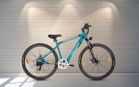 Lectro Townmaster Bicycle Picture Gallery - Bikes4Sale