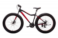 Triad FTB Bicycle Picture Gallery - Bikes4Sale